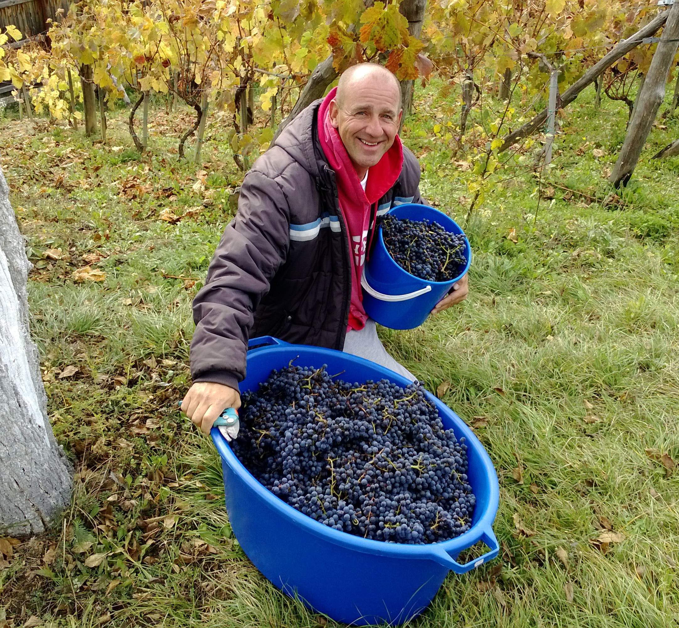 Zlatan Fazlić Fazla, povratak na scenu nakon deset godina: Zašto sam ...