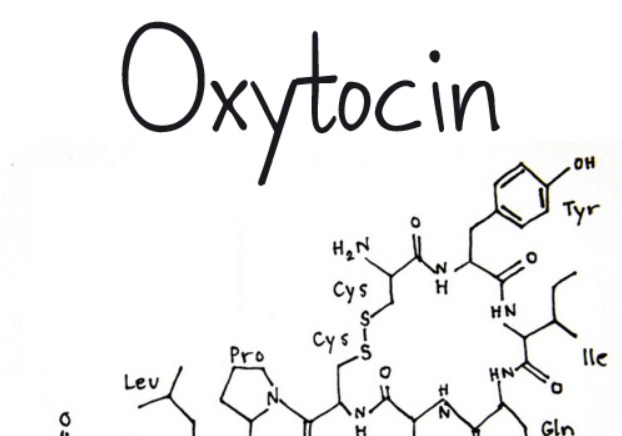 Oksitocin: Hormon ljubavi i prijateljstva - Azra Magazin