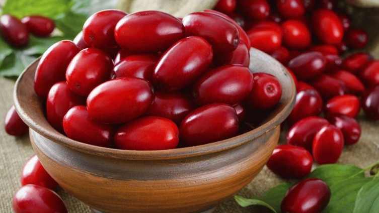 Drijenjak - voće neodoljivog ukusa i ljekovitih plodova