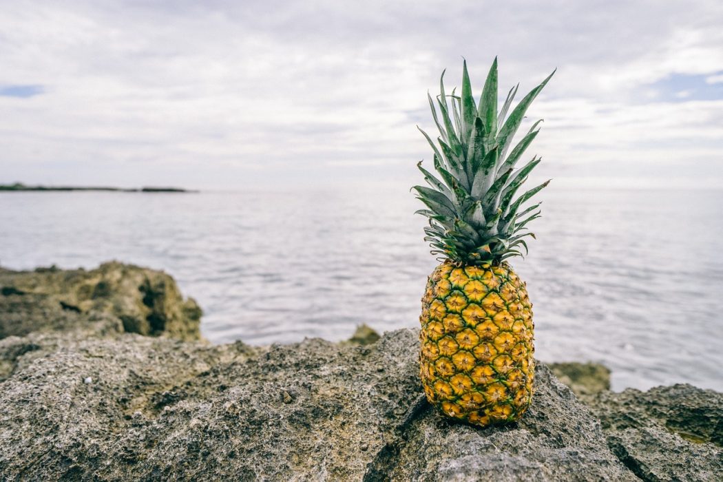 Ananas: Zvanični kralj voća